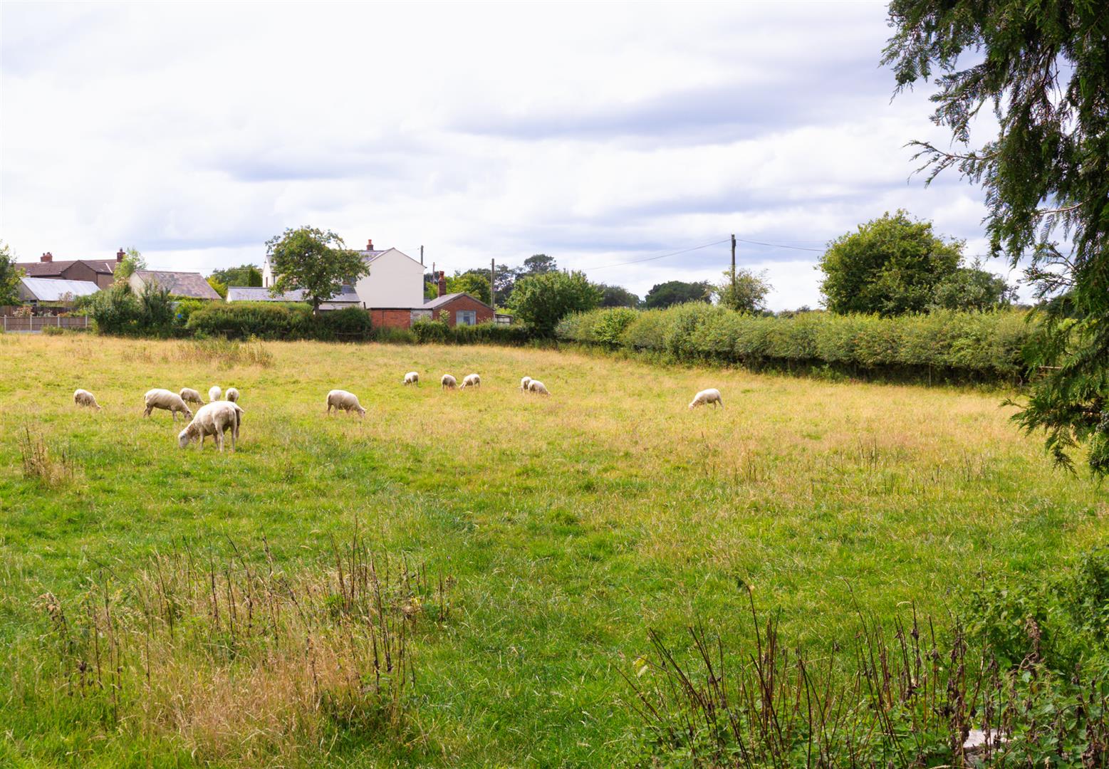 Beech Tree Farm, Whitchurch, SY13 3LT | Estate Agents & Auctioneers